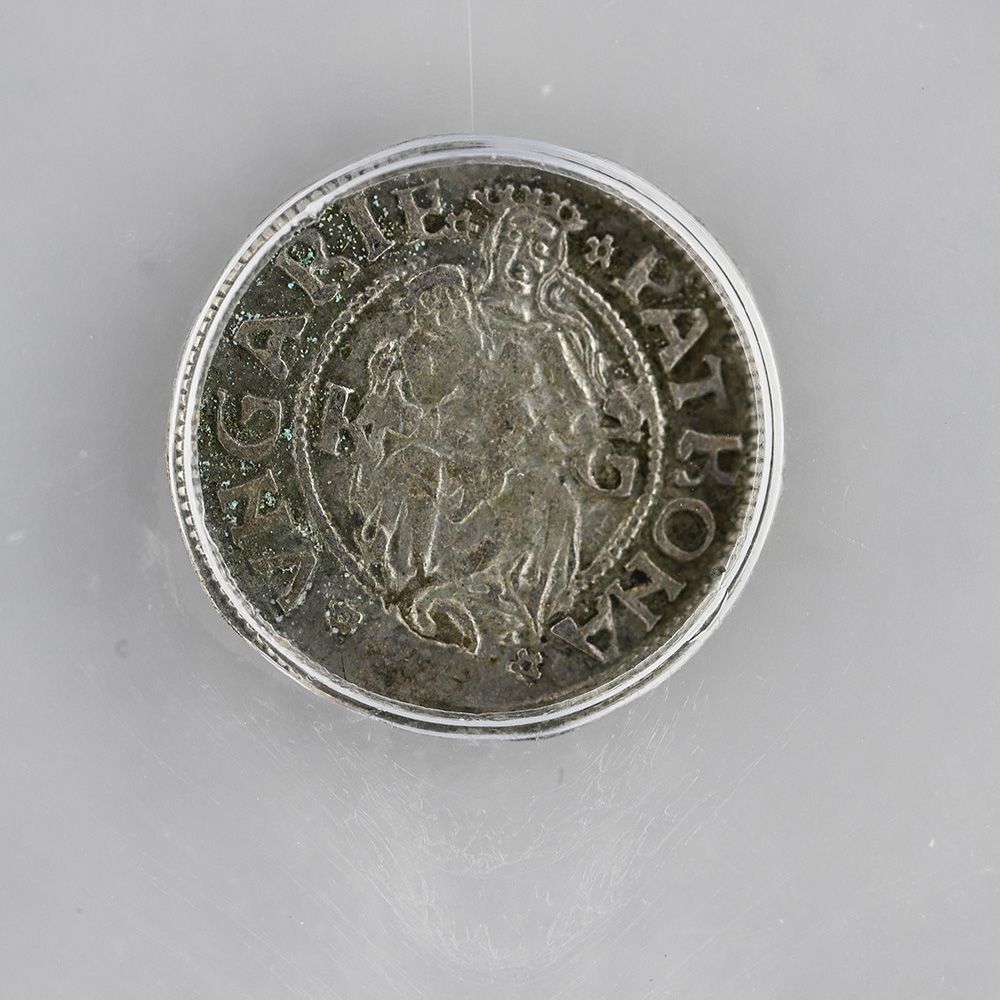 Dracula’s Hoard Silver Hungarian Denar | US Coins | Csnmint.com