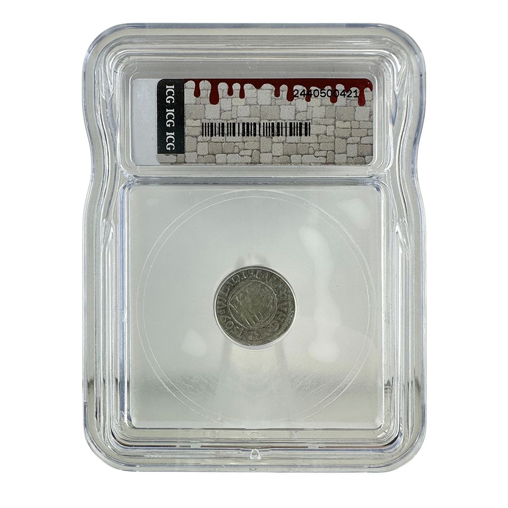 Dracula’s Hoard Silver Hungarian Denar | US Coins | Csnmint.com