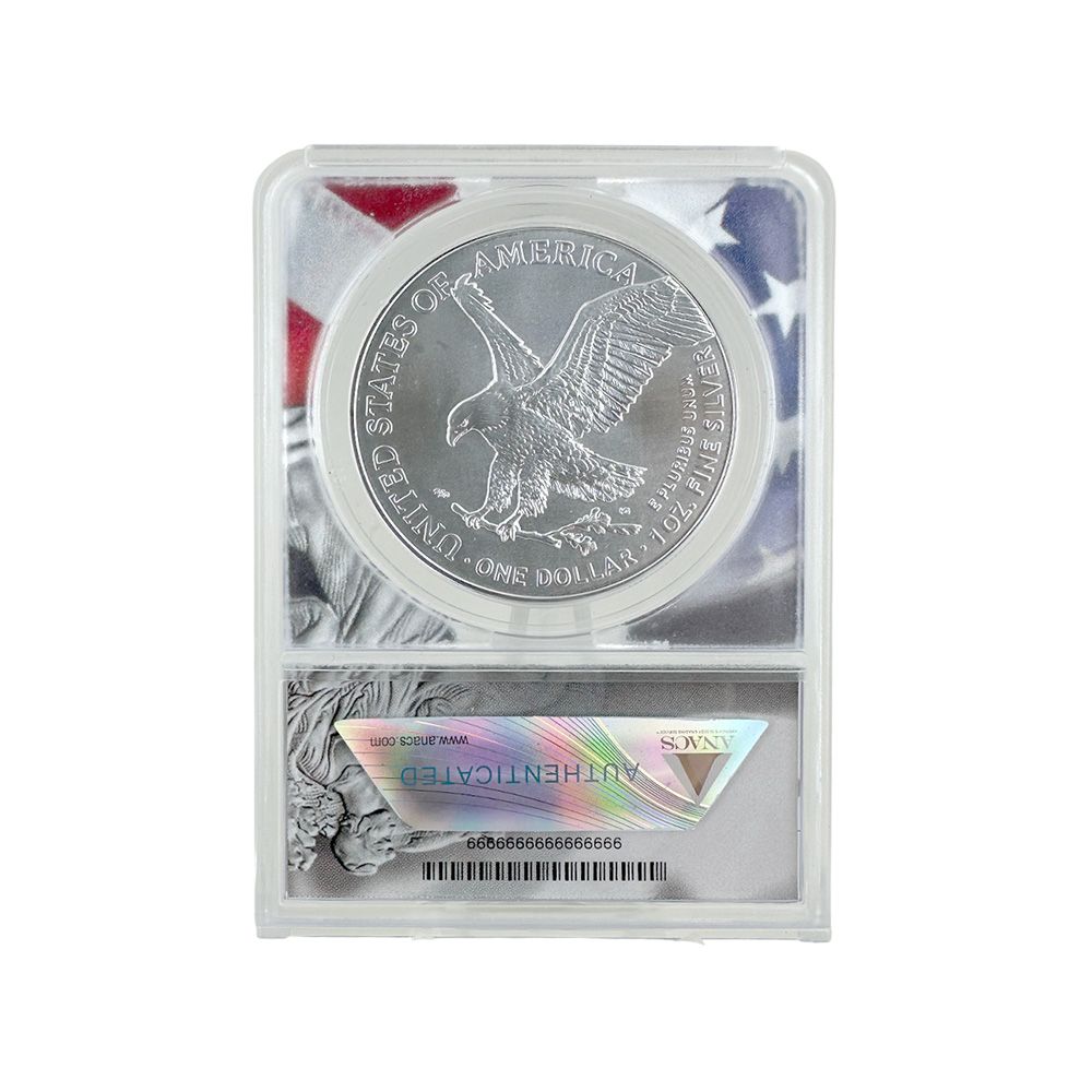 2026 PRESALE Silver American Eagle – MS70 x10 | US Coins | Csnmint.com